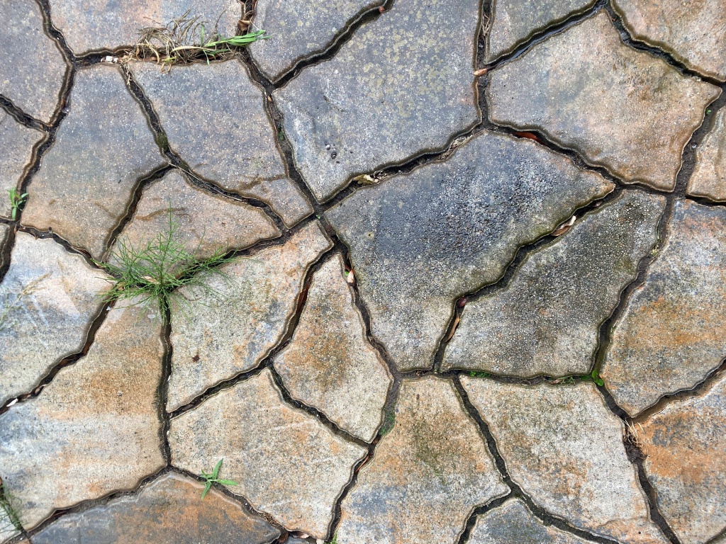bgs-reiniging, flagstones reinigen – BGS Reiniging bgs-reiniging, flagstones reinigen – BGS Reiniging